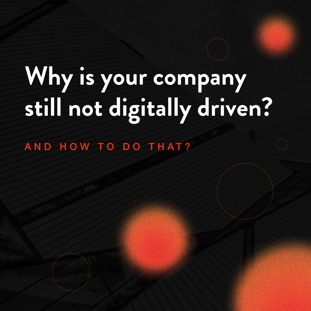 havenocode.io | no-code / low-code agency | no-code software development company